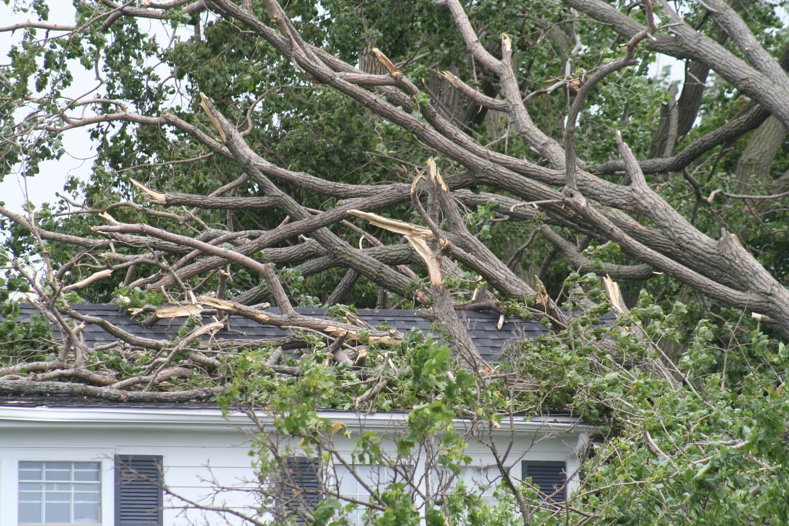Carla's Curiously Crafty Chaos: Pretty bad wind storm Thursday night