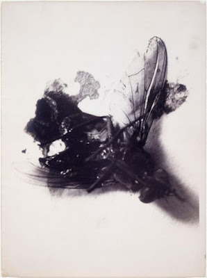 Los Grandes Fotografos: Jacques-André Boiffard (1902-1961)