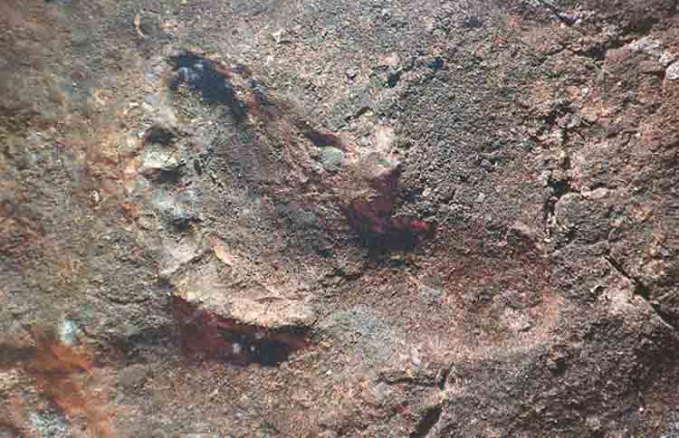 Crónica de arqueología: Las pisadas humanas de la cueva de La Basura ...