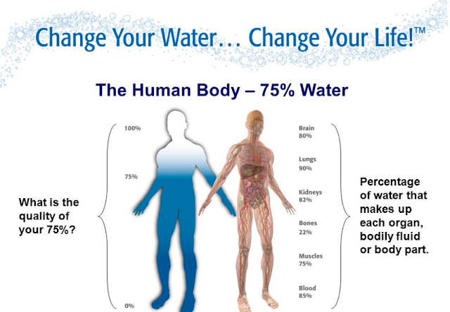Importance and Main Function of Water in Human Body | Education and ...