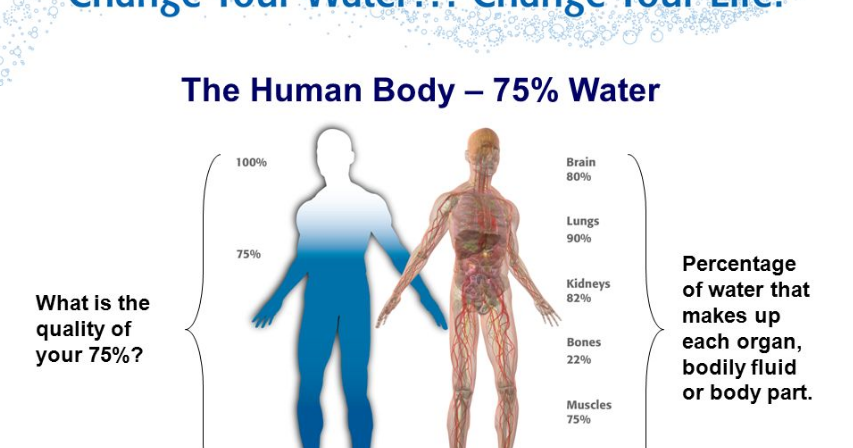 Importance and Main Function of Water in Human Body | Education and ...