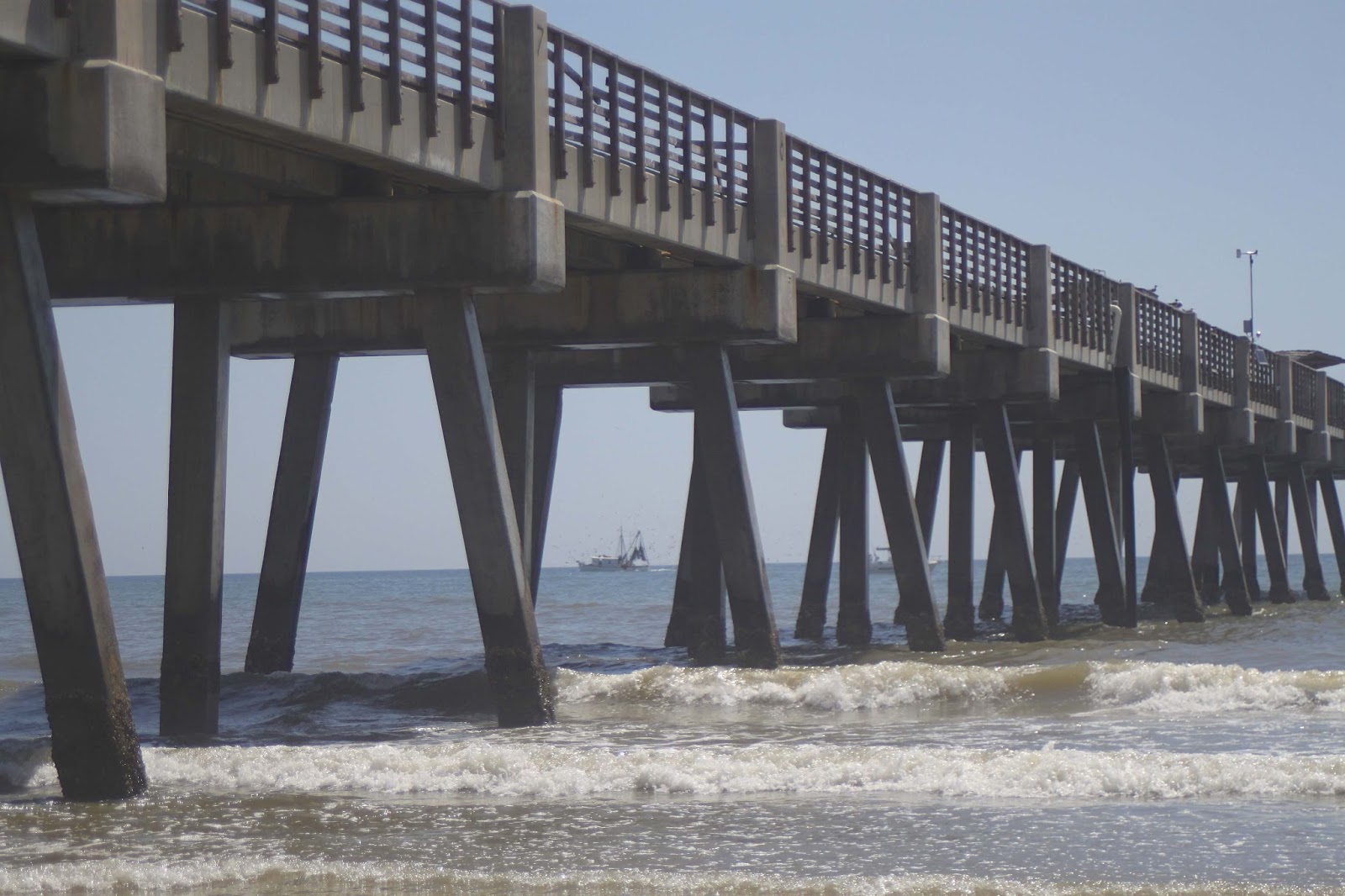 borrowed heaven: Visiting Florida's First Coast