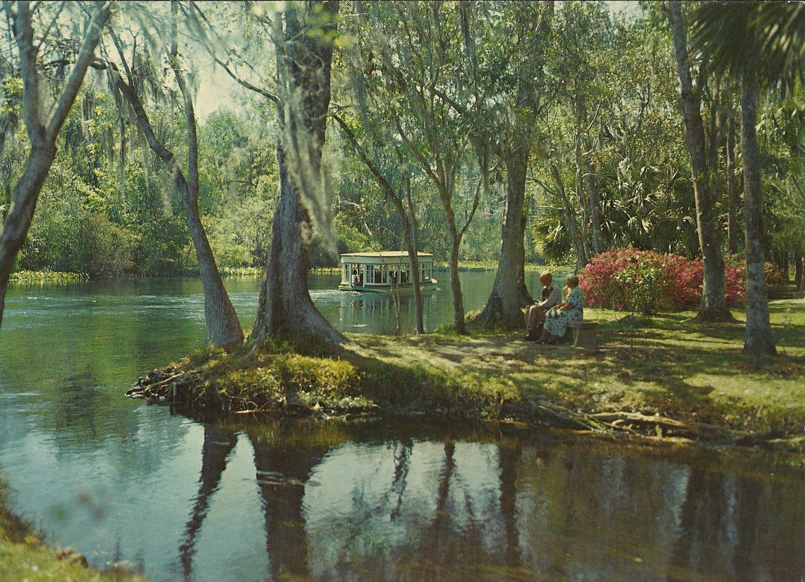 Vintage Travel Postcards: Silver Springs