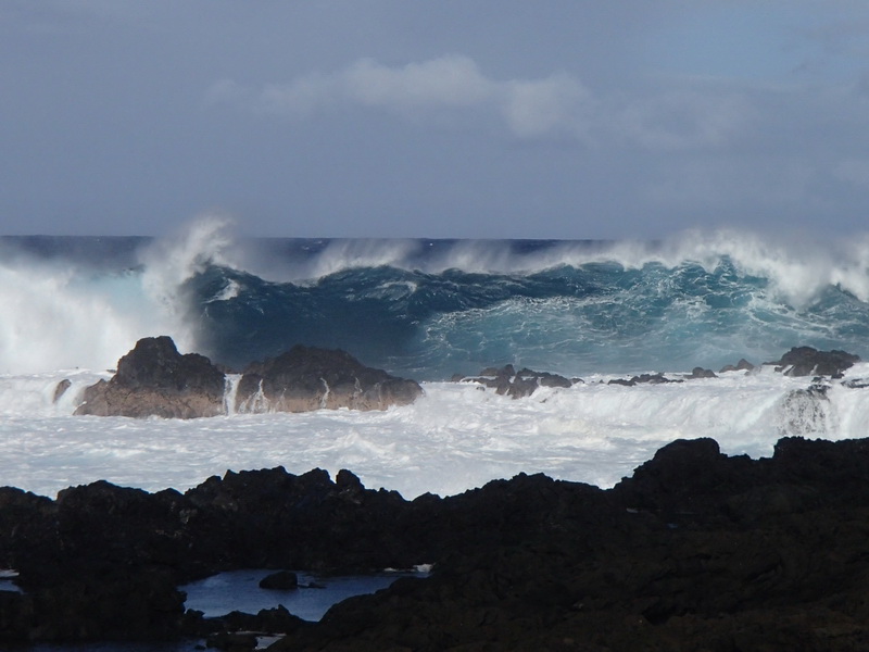 La Réunion - Juin 2012: Mare-Longue / Saint Philippe