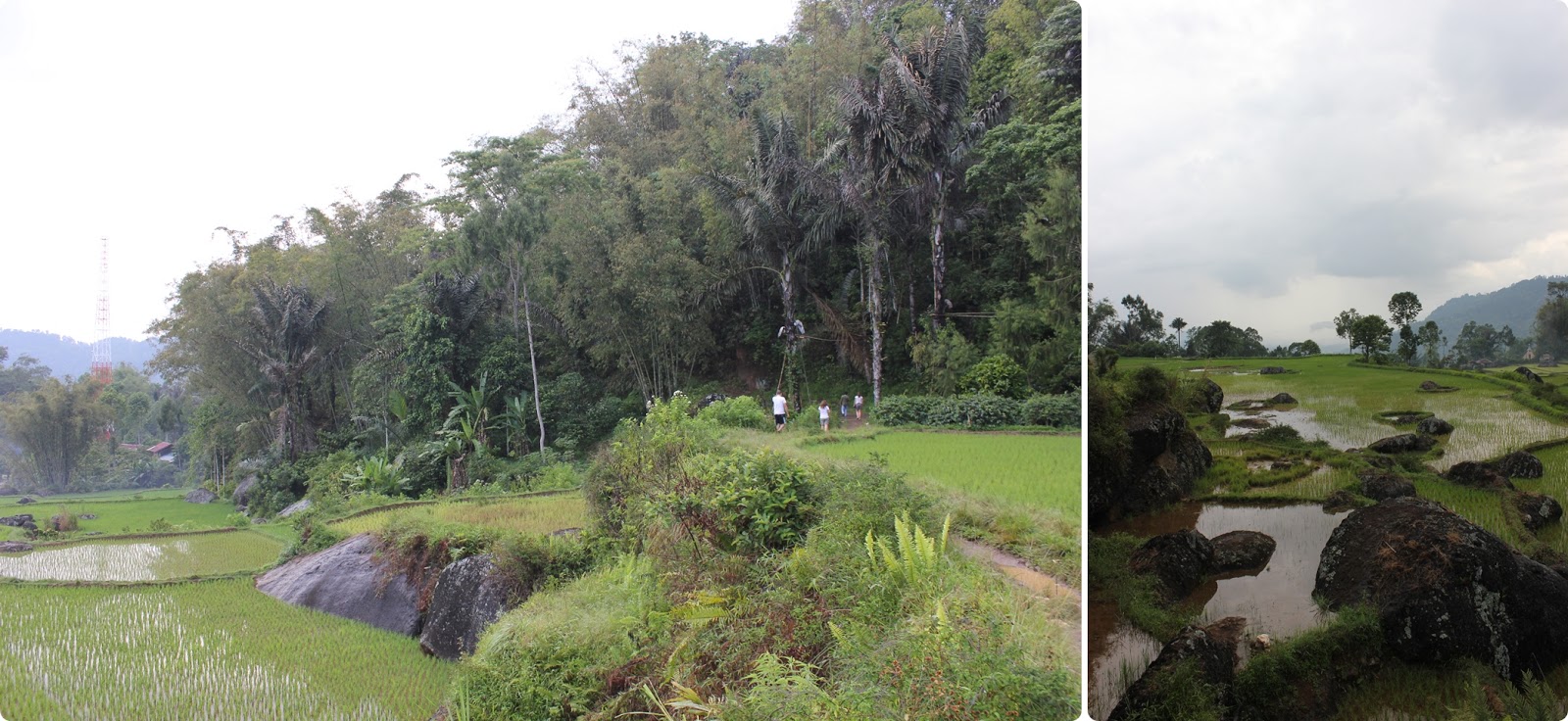 Los viajes de "jabi con b & pelgroc": 26 Nov. Rantepao "Tana Toraja ...
