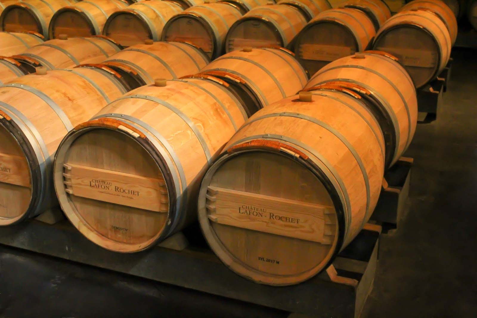 Chateaux & Merlot in Bordeaux, France - This Celebrated Life