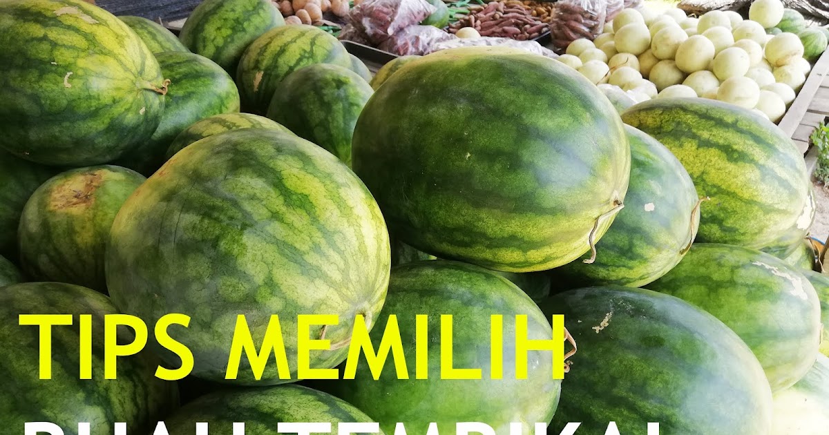 Tips Memilih dan Membeli Buah Tembikai yang Terbaik