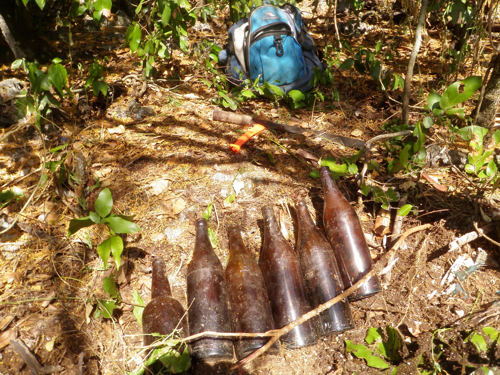 Saipan: Teaching, Living, & Recreation: WWII Relic Hunting in Saipan Update