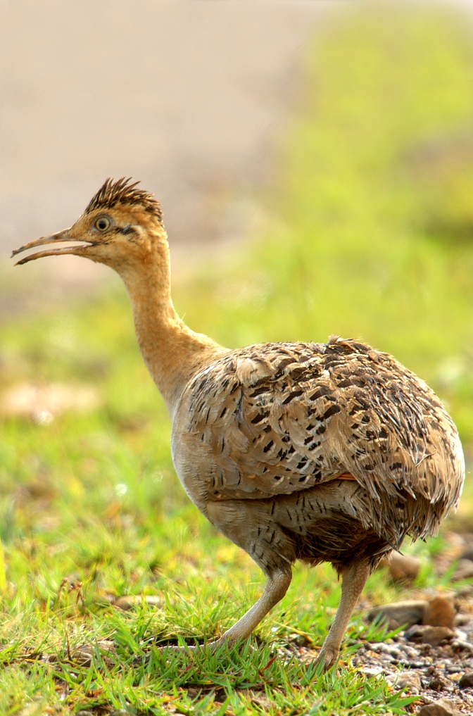 Natureza, Perfeição sem tamanho...