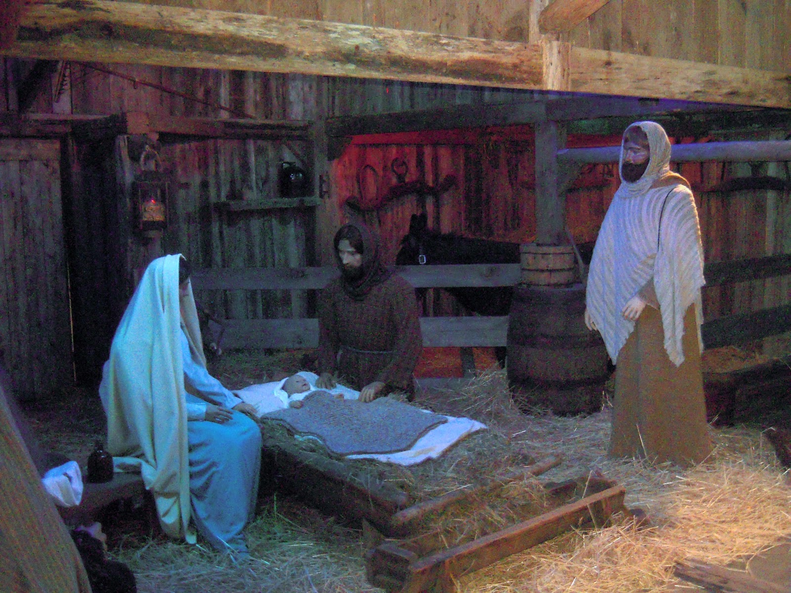 Sweet William The Scot: Crib of the Nativity & Christmas Eve