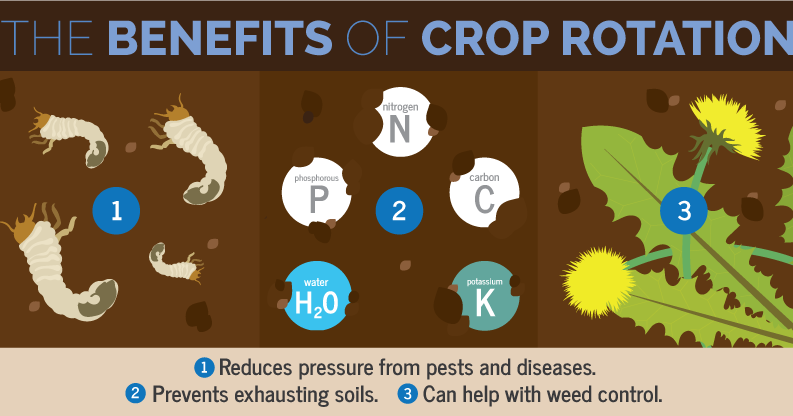 Crop Rotation : Benefits in Pests Control
