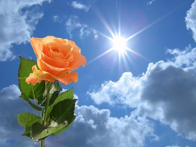 Glícia Maria Soares