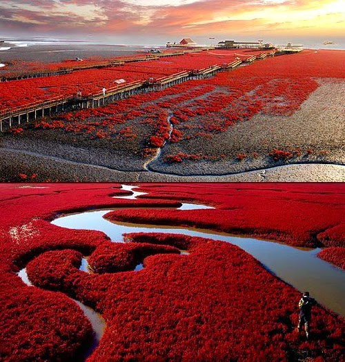 TOURISM AROUND THE WORLD: Gorgeous Red Sea in China