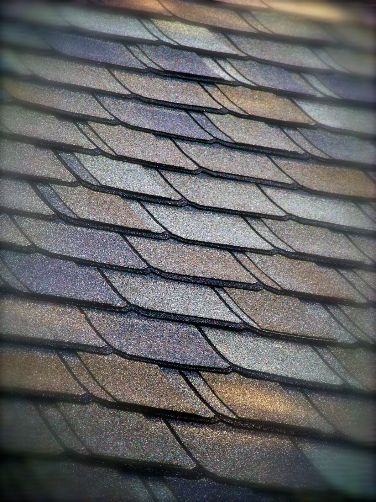 Garden Variety Wisdom