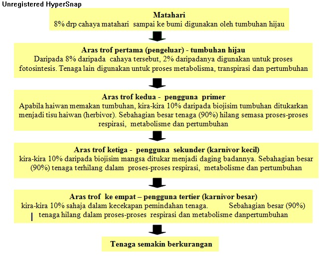 think more about live....: kuliah 3-sistem ekologi dan ekosistem