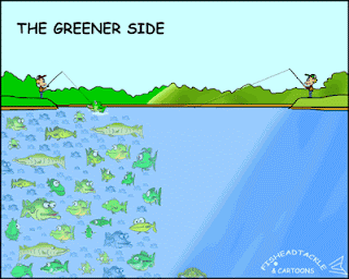 Inky Fool: Rivals and Rivers