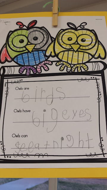 Colors and Kindergarten: Owls!
