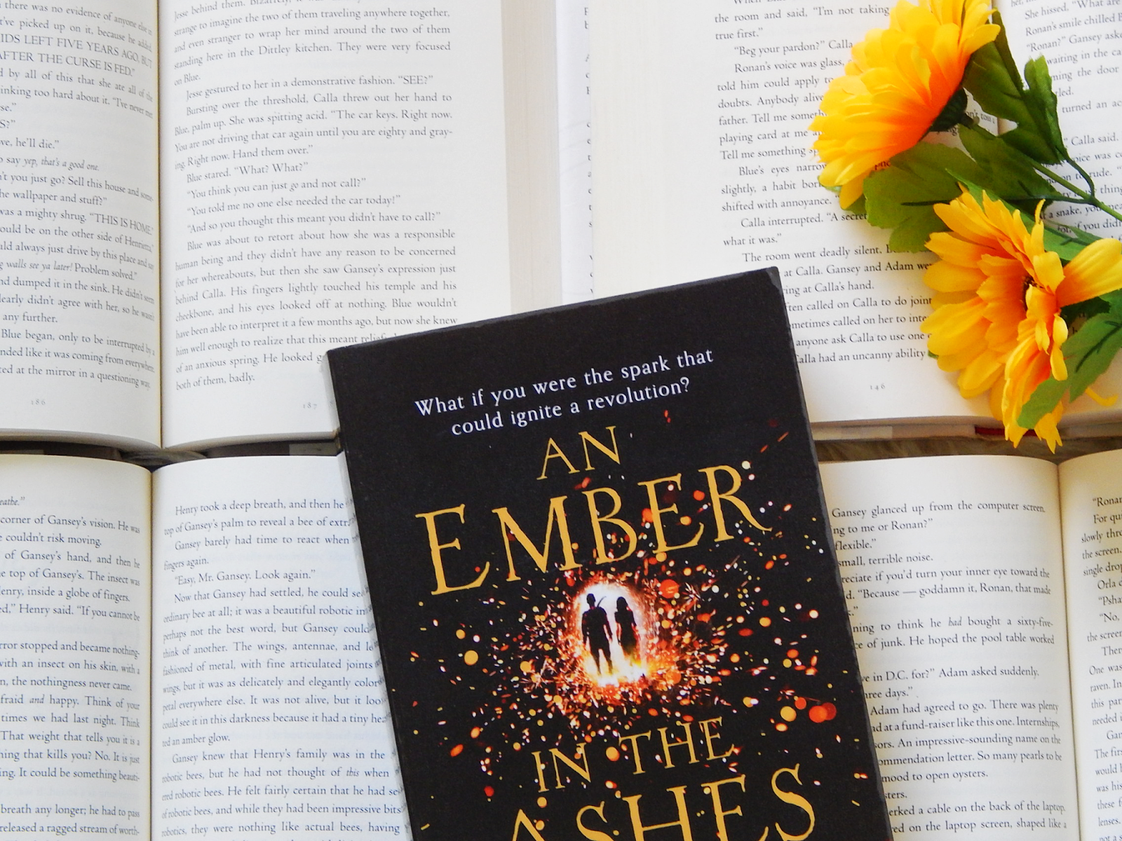 An Ember In The Ashes No Spoiler Book Review - sprinkled pages » a book ...