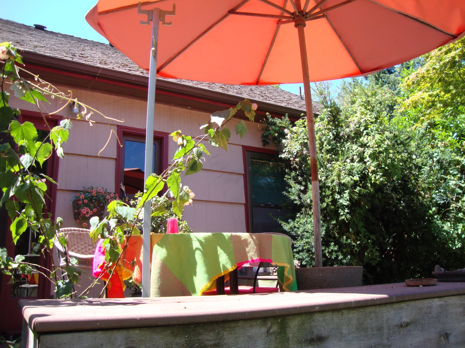 danger garden: The garden of Kate Farley