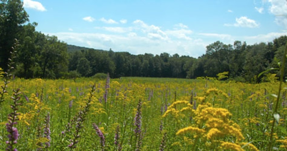 PA Environment Digest Blog: Using GIS: Changes In The Prairie At ...