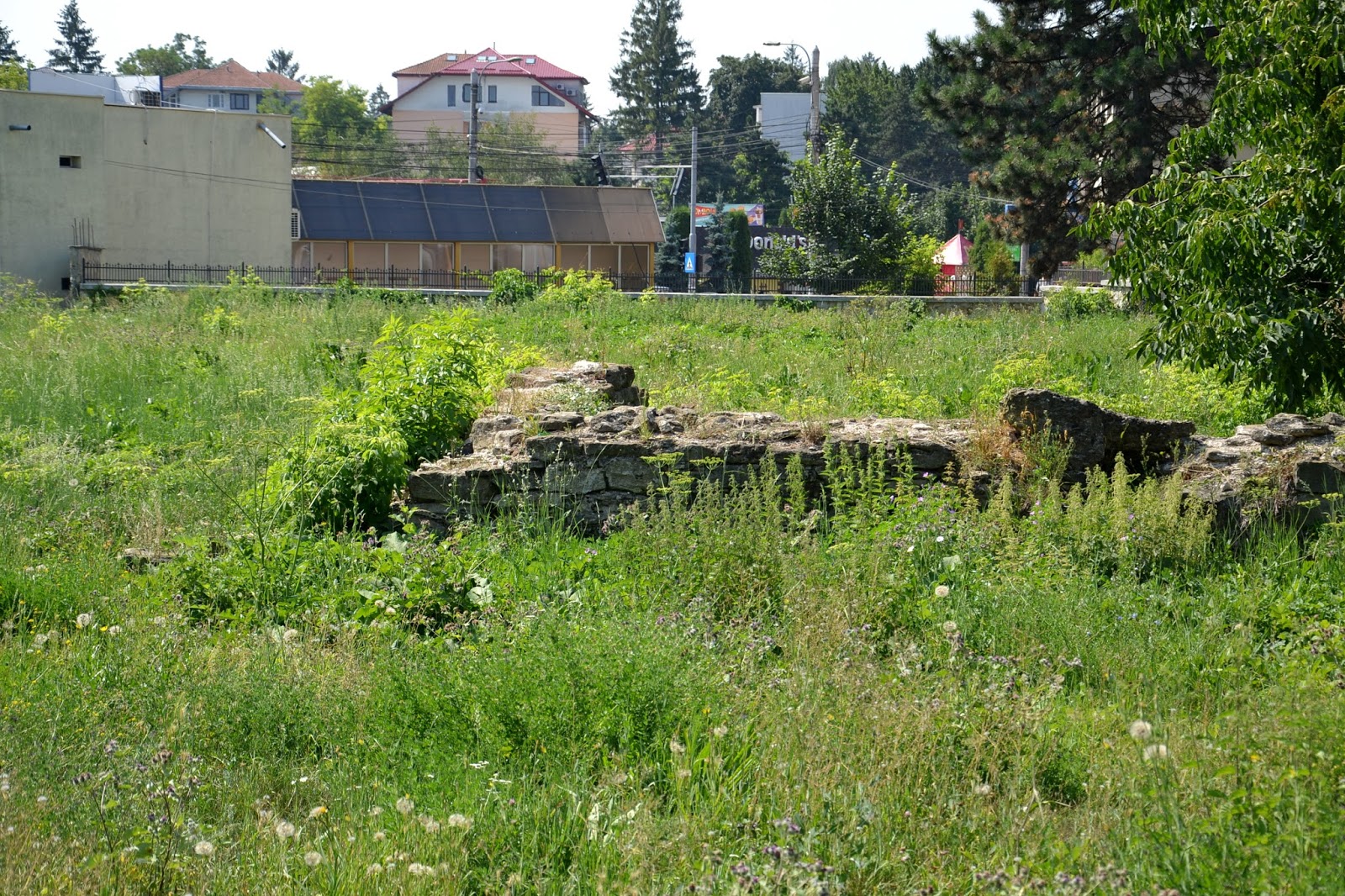 Hanys w podróżach: Suczawa i Jassy - stolice rumuńskiej Mołdawii