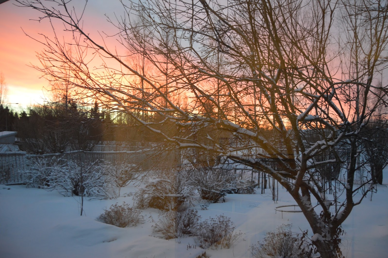 Aurinkokujalla: Aamu auringon nousu...