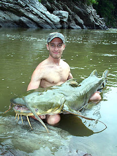 Giant Devil Catfish - The Goonch Catfish