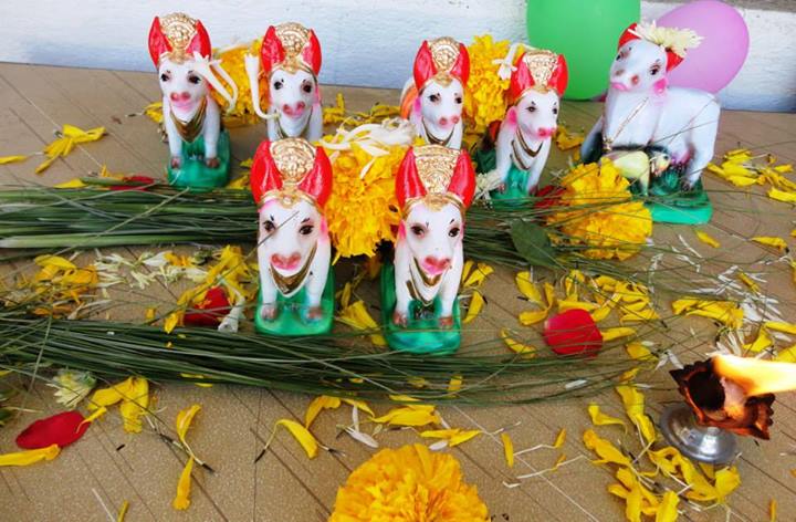 बैल पोळा ... Bail Pola... | मराठी कविता ब्लॉग