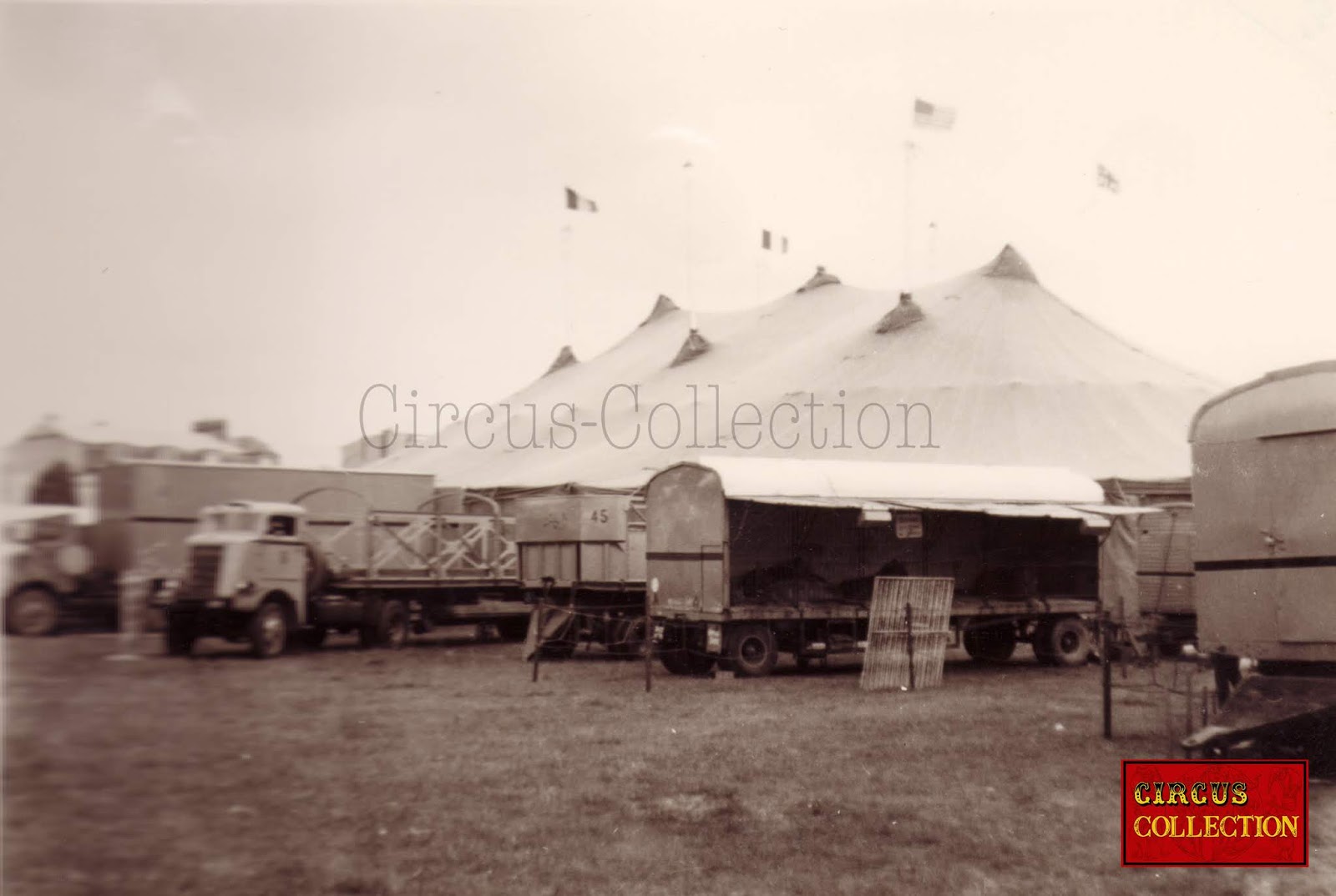 Circus -Collection: Selection de photos du Cirque Amar en 1960