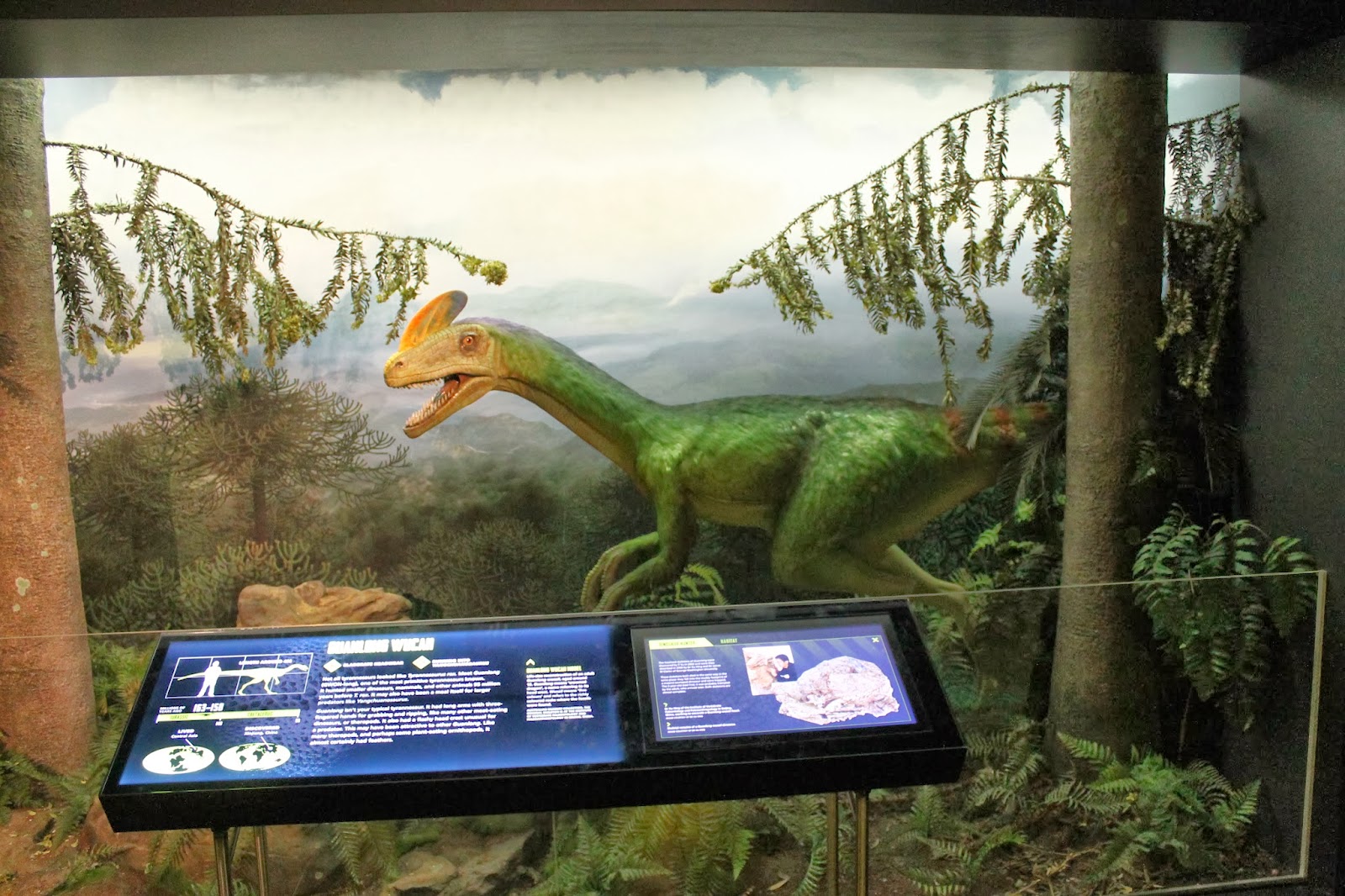 Australia...: The Australian Museum og The Rocks Museum