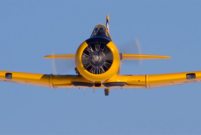 Vintage Wings of Canada: It's the Harvard's turn