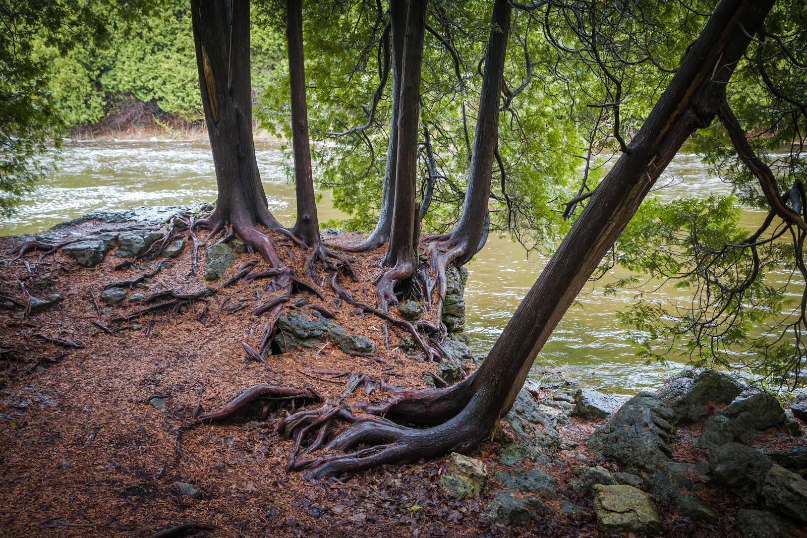 How to Spend a Rainy Weekend in May - Hiking in Rockwood! - Explore the ...