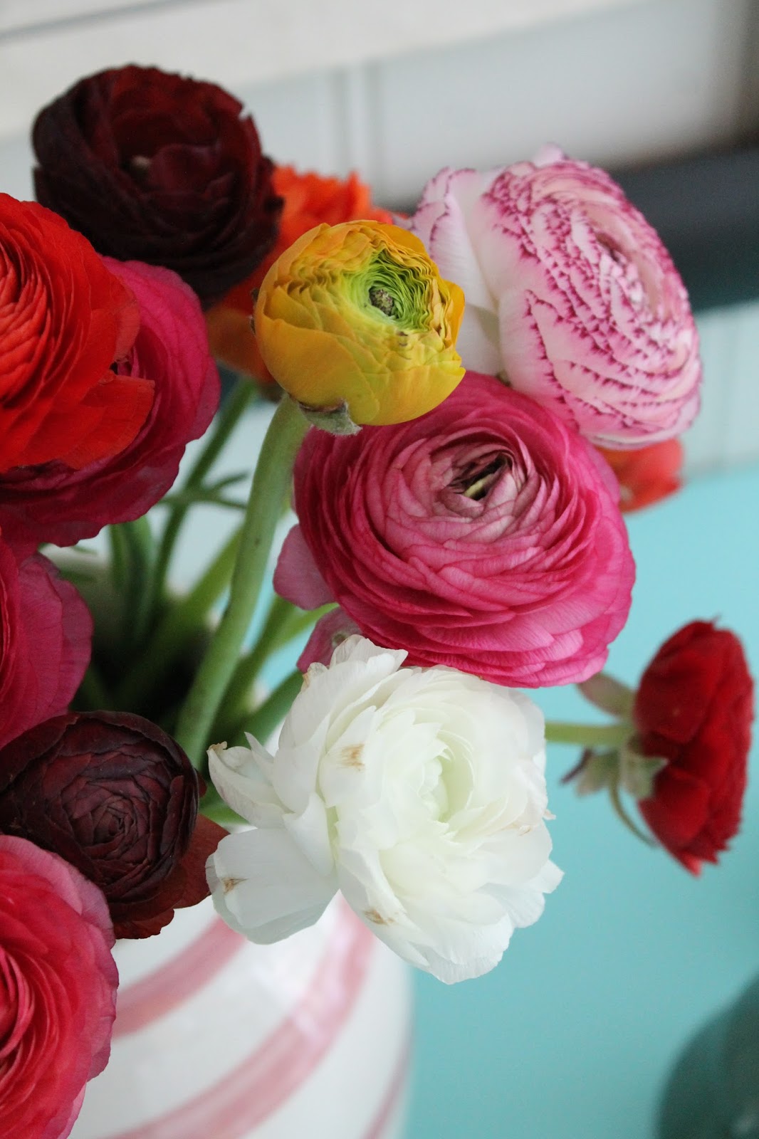 Huset ved fjorden: Ranunkler