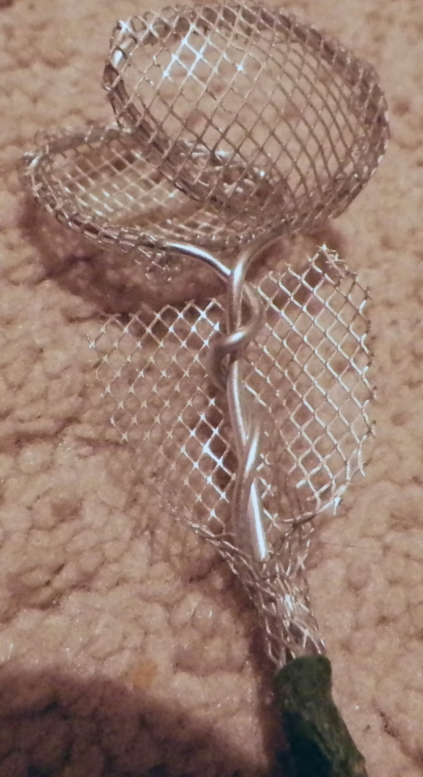 Cassie's Creative Crafts: Tutorial on How To Make A Venus FlyTrap Out ...