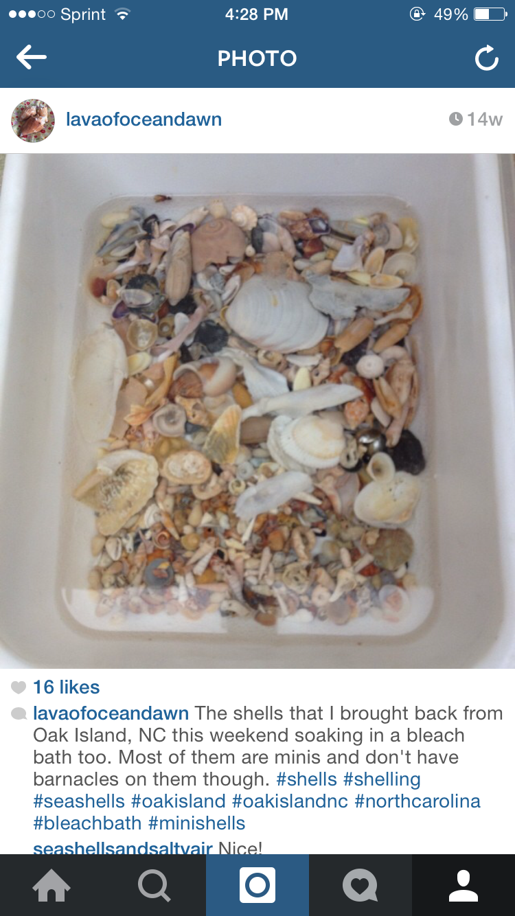 Lava of Ocean Dawn: Cleaning you Shells