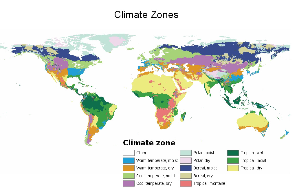socialstudiesandenglish4: UNIT 2 WEATHER AND CLIMATE