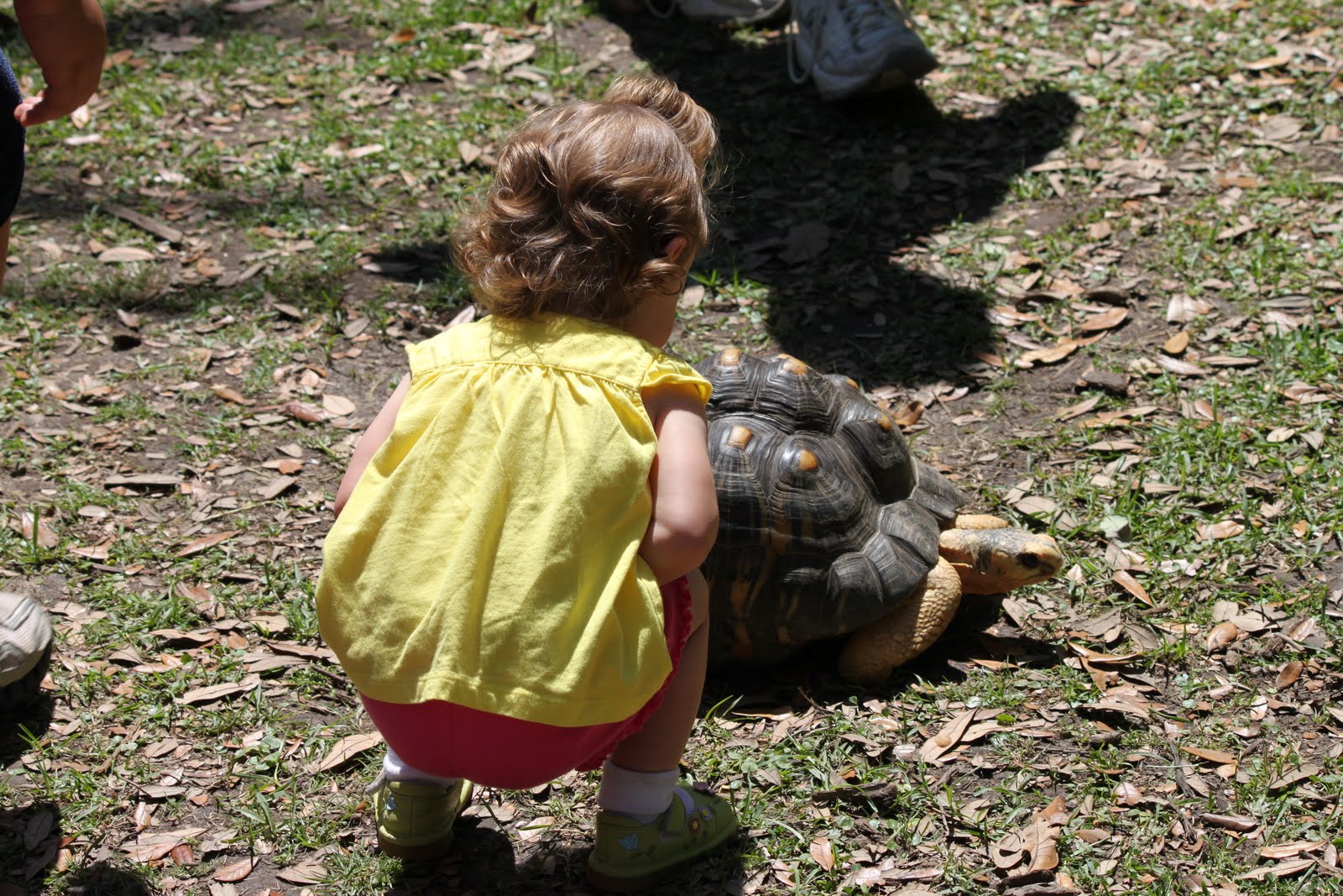 The Robertson Family: New Orleans Zoo