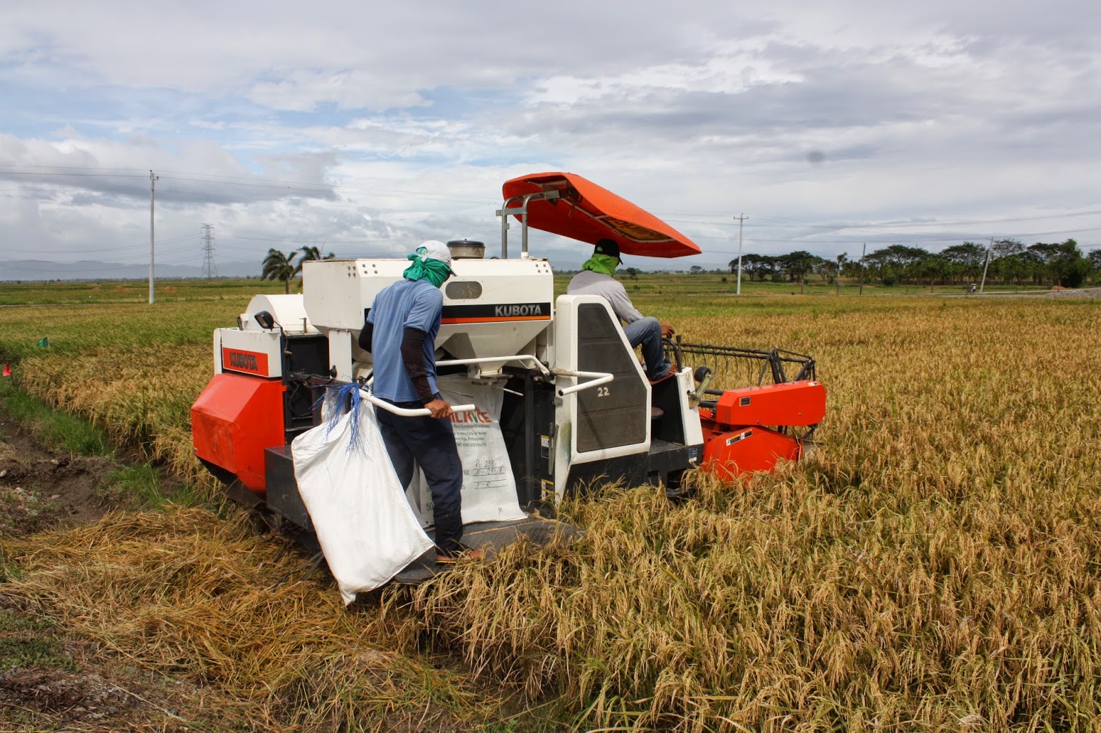 FutureRice: promoting integrated solutions for future farming scenarios ...