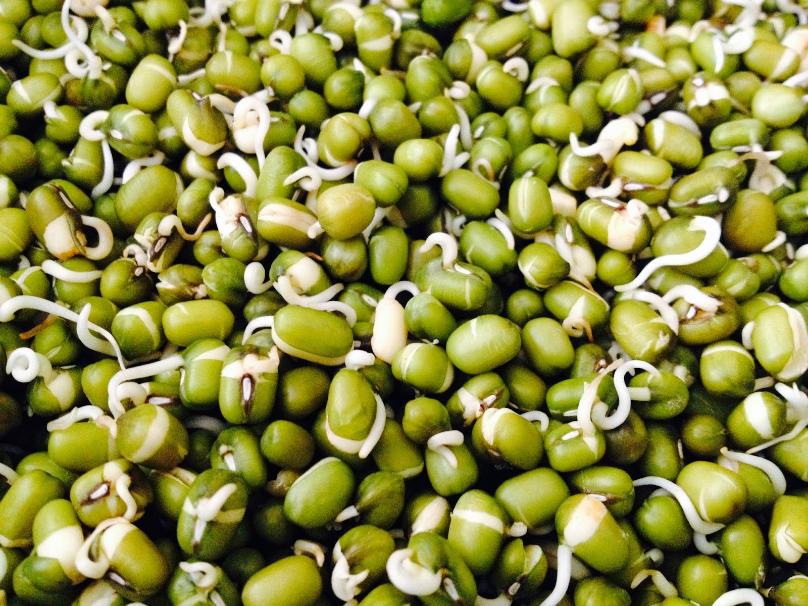 What's on the Menu Today ?!!!!: Moong Sprouts Cutlet / Mung Bean ...