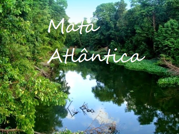 Mata Atlântica