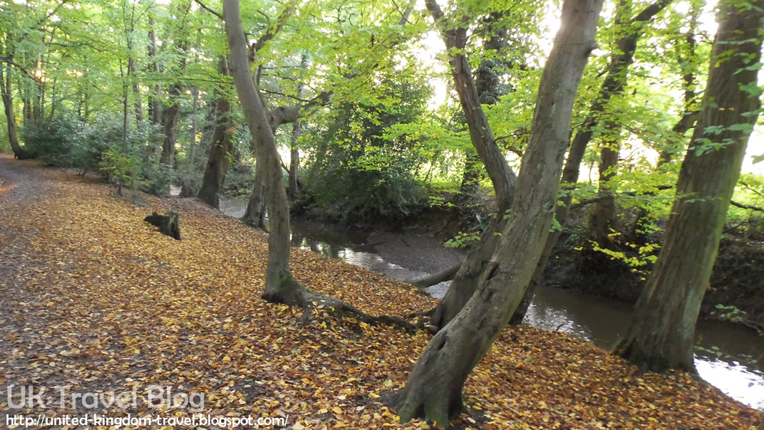 Whitewebbs Wood, Park and Golf Course - The Globe Trotter