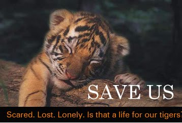 Save Tiger