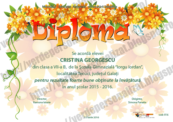 verde personalizat: Diploma scolara model S016