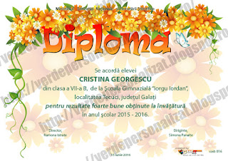 verde personalizat: Diploma scolara model S016