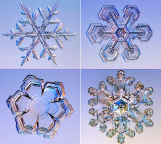 Ms.Reynolds Classroom Canvas: Snowflake Symmetry