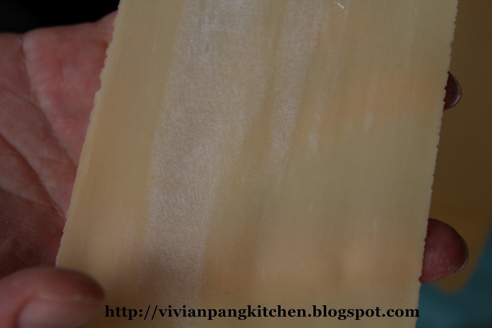 Vivian Pang Kitchen: Homemade Wonton Wrapper (with egg)/云吞皮