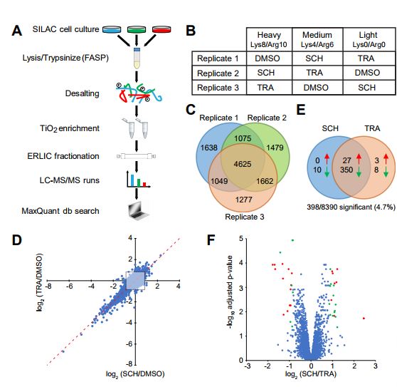 News in Proteomics Research: Specificity of phosphorylation responses ...