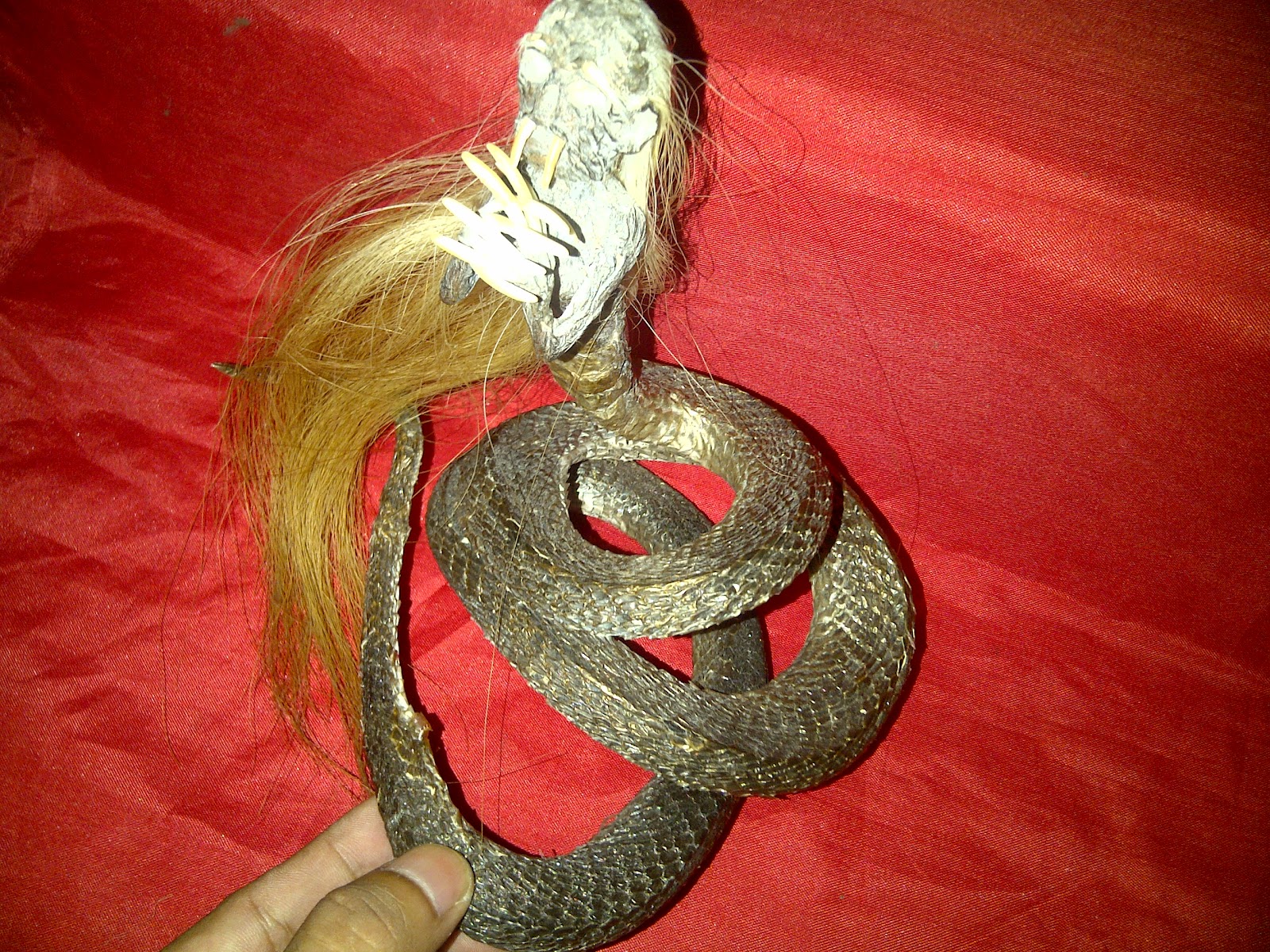 JENGLOT ULAR, JENGLOT DUYUNG, JENGLOT BHATARA KARANG ~ Sanggar Bertuah ...