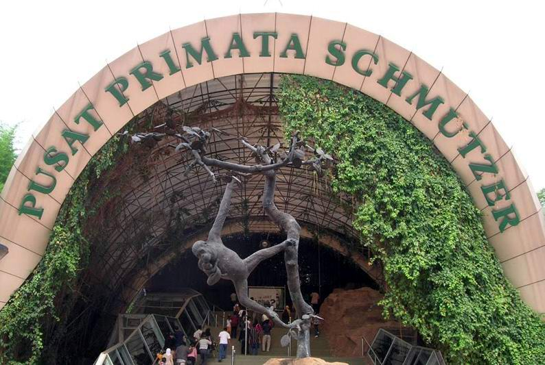 60 Museum Jakarta: Museum Primata Schemutzer (Ragunan) (Jakarta Selatan)