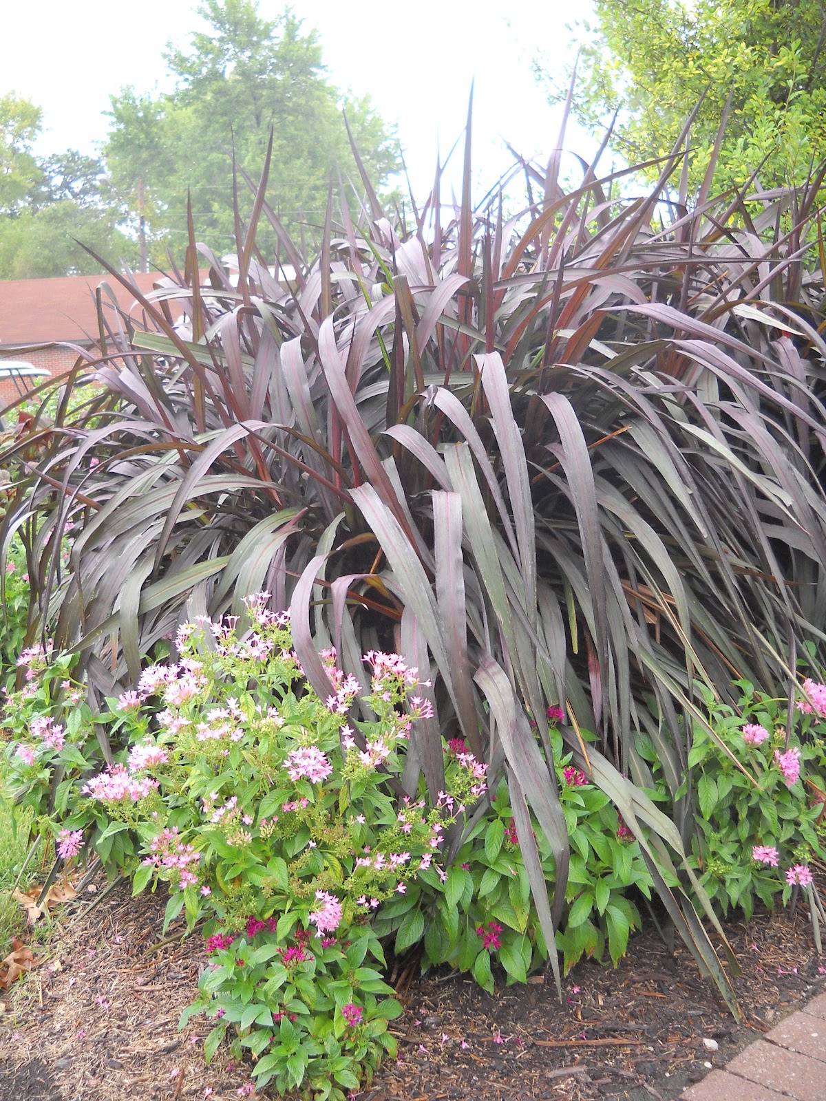 Glen Echo Country Club Golf Course Management: Horticulture 2012